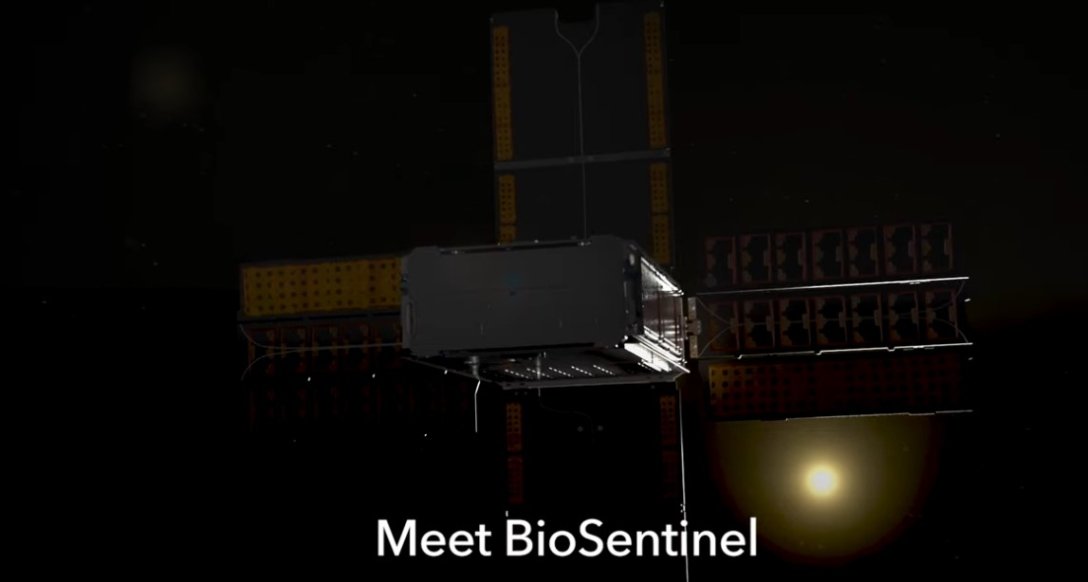 Населить глубокий космос. NASA запустит космический аппарат с жизнью на ...