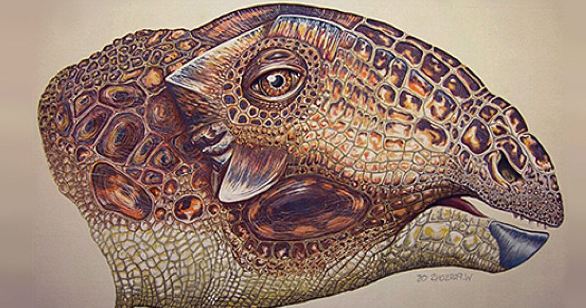 В США нашли останки динозавра - ФОКУС