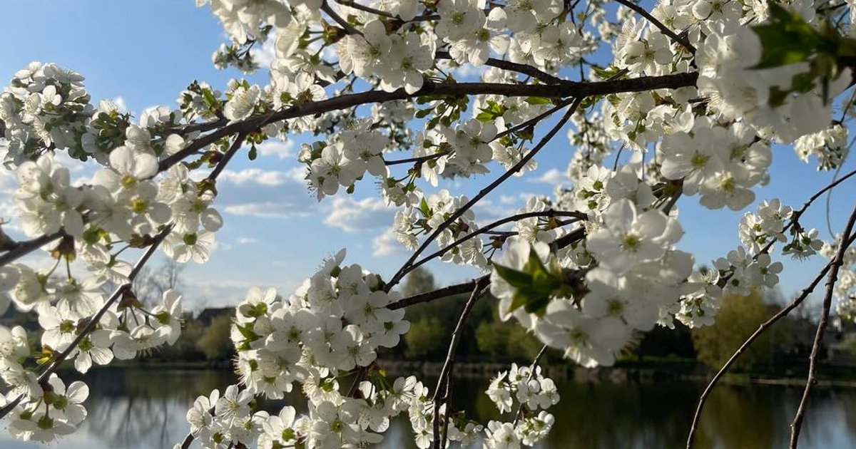 Download video bokep jilbab indonesia