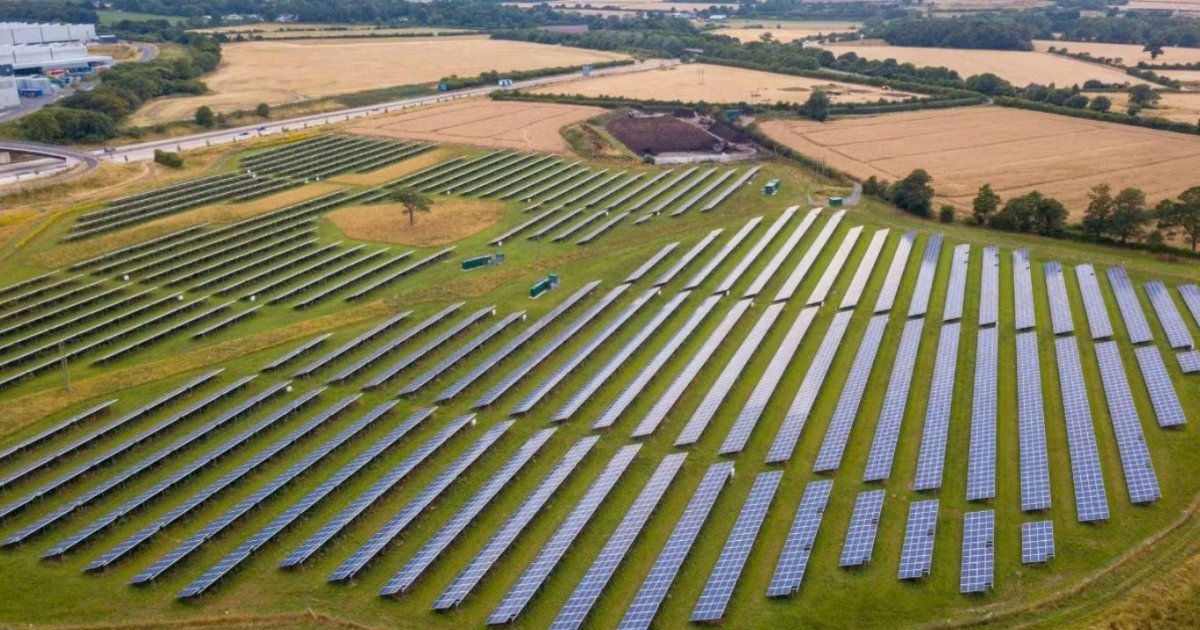 Солнечные панели-»подсолнухи» вырабатывают больше энергии, но есть ...