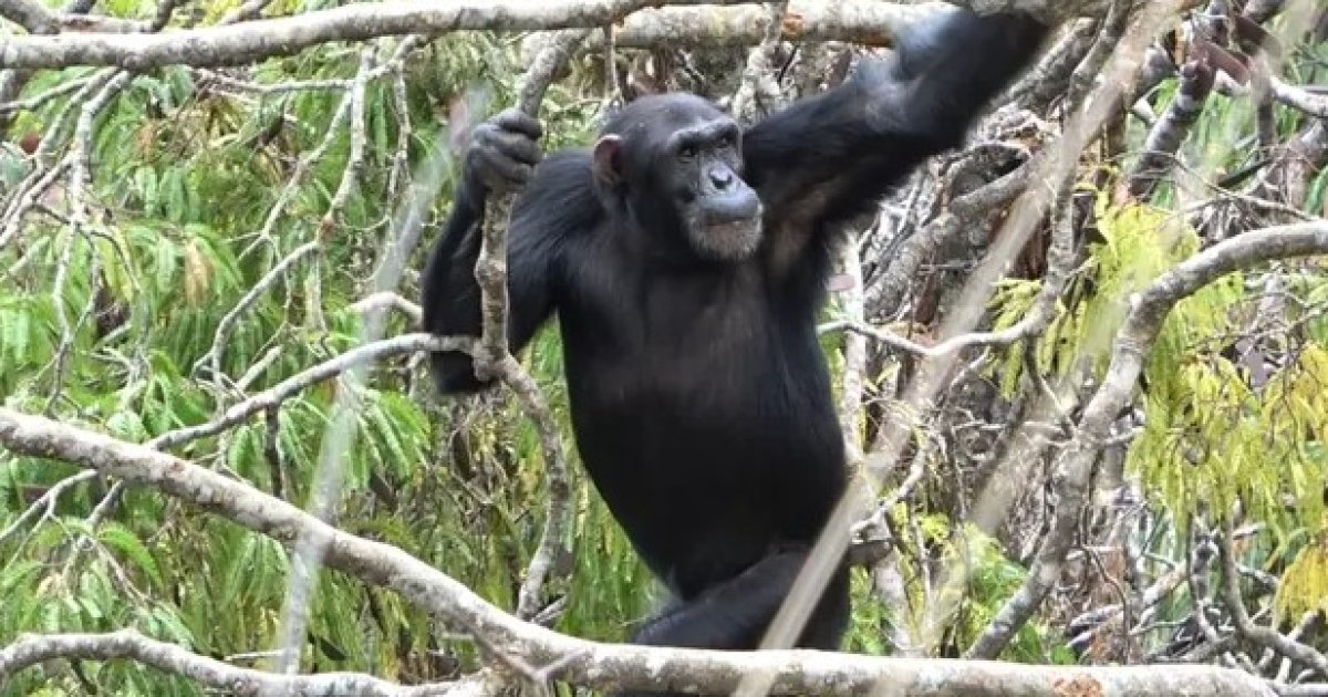 Definitely open. Scientists have figured out how humans actually ...