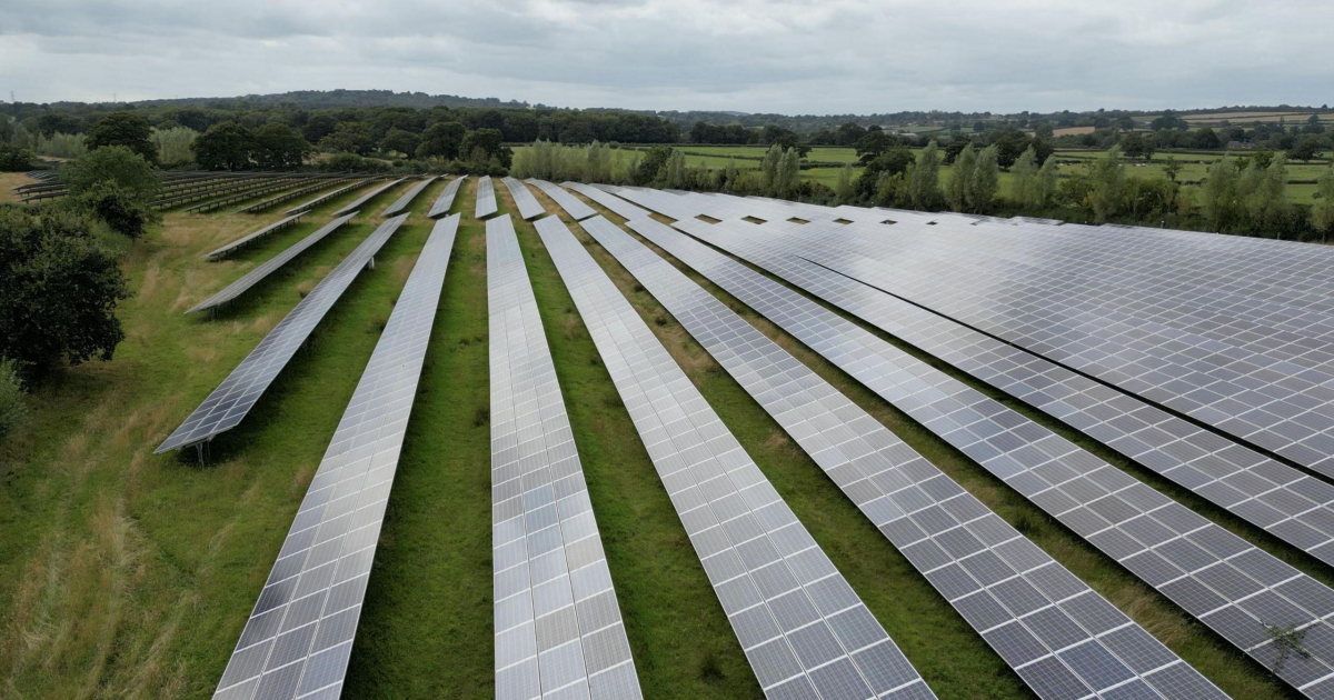 Сонячні панелі тепер виробляють не тільки енергію: про який цінний ...