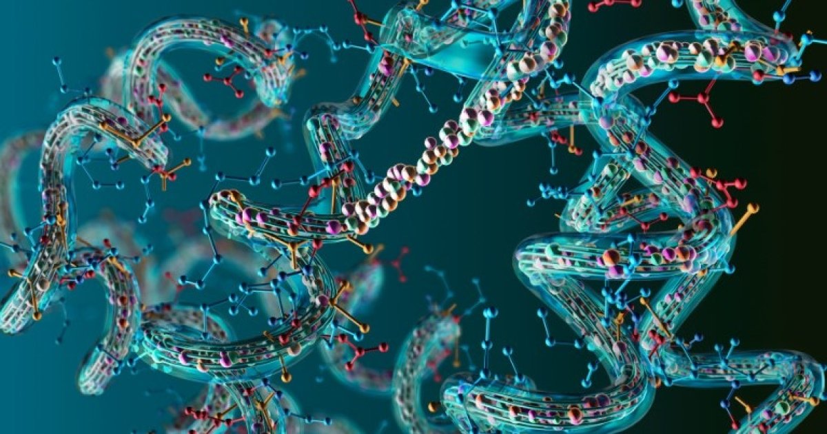 Связь математики и природы: теория чисел обнаружена в эволюционной генетике